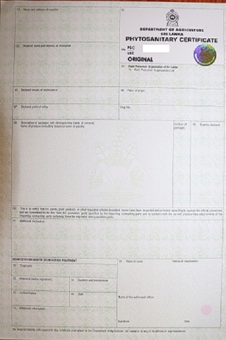 Step by Step Functionality